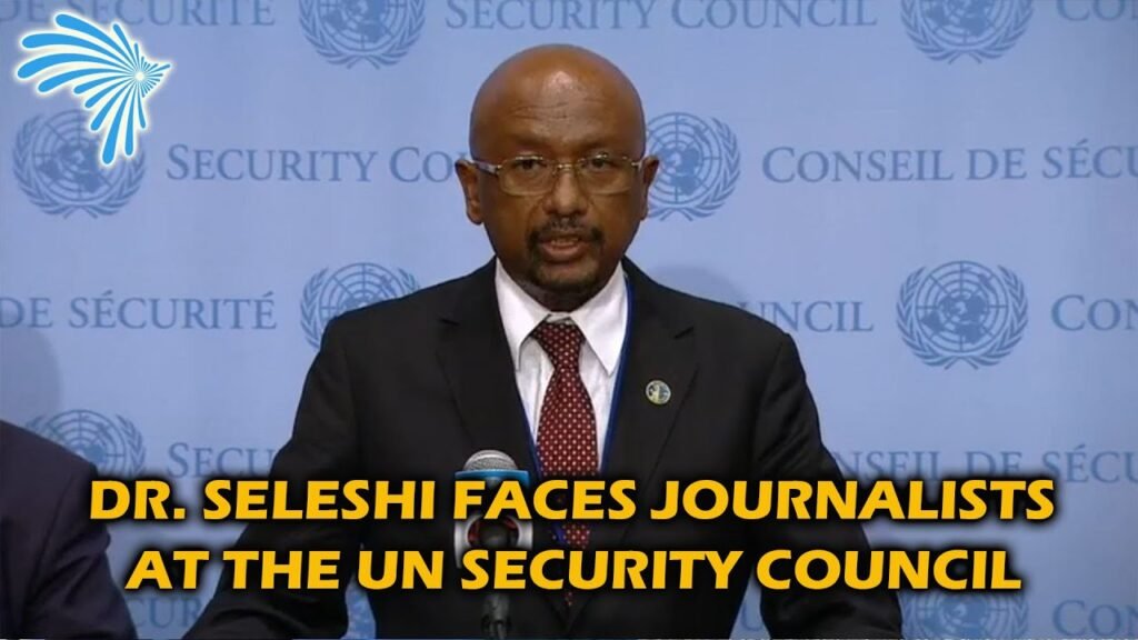 Dr. Seleshi Faces Journalists at the UN Security Council – Arts Tv ...